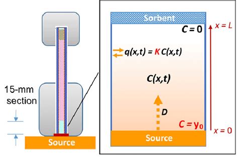 Schematic Representation Of The Diffusive Sampler And Diffusion Model Download Scientific Diagram