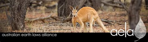 Kinship March Webinar How Deep Ecology Helps Us Connect Australian Earth Laws Alliance