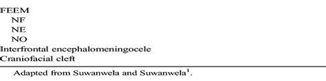 Internasal A New Type Of Frontoethmoidal Encephalomeningoce