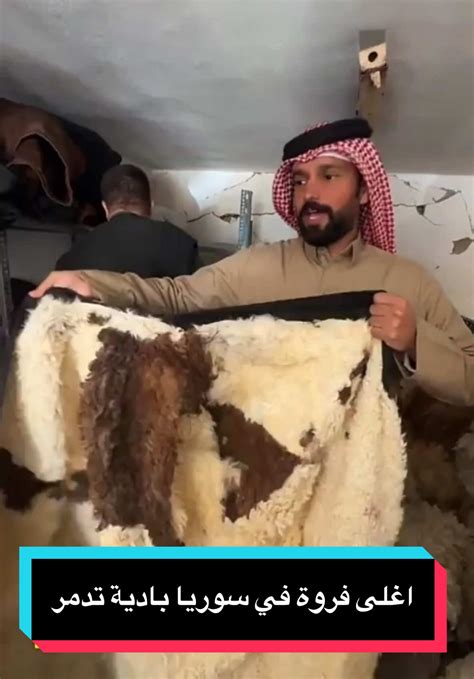 صناعة الفرو الطفيلية في بادية تدمر Tiktok