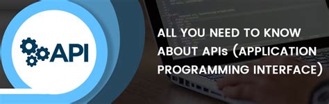Api Application Programming Interface Guide For Dummies Promatics India
