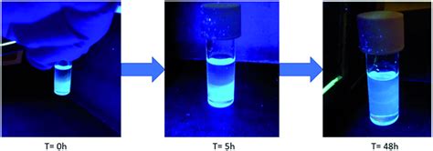 Qualitative Diffusion Experiment Demonstrating Diffusion Of The