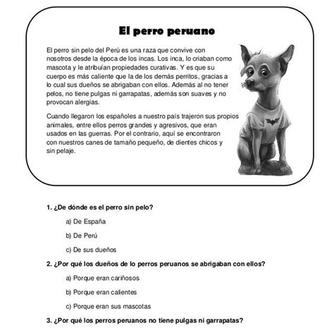 Ejemplo De Texto Descriptivo Corto Silas