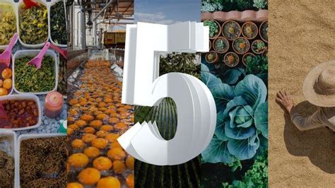 Federated Learning Meets Homomorphic Encryption Ibm Research