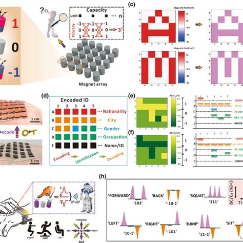 A Schematic Diagram Of The Ternary Information Coding System To Encode