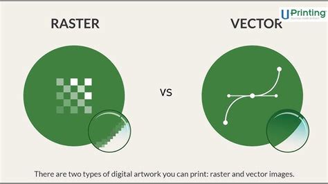 Bitmap Vs Vector 17 Amazing Comparisons Of Raster Vs Vector