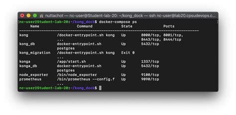 สร้าง Api Gateway และระบบ Monitoring Microservice ด้วย Kong Prometheus