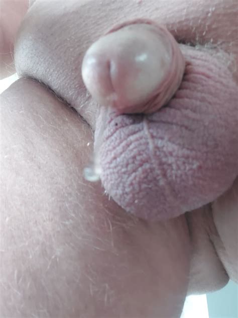 Dripping Dick Pics Xhamster