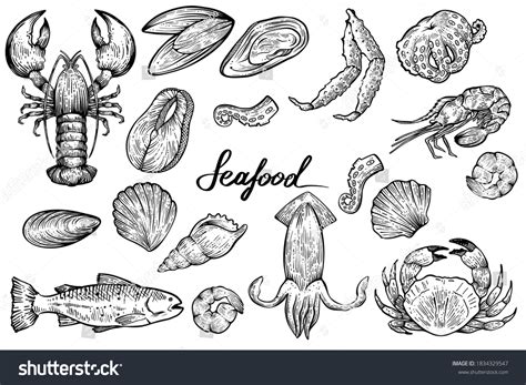 Seafood Set Hand Drawn Vector Stock Vector Royalty Free 1834329547
