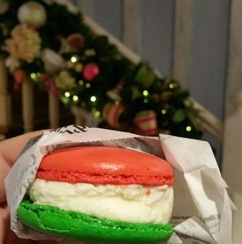 Peppermint Macaron In France Pavilion At Epcot