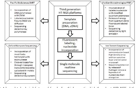 Figure 2 From Next Generation Sequencing And Bioinformatics Semantic