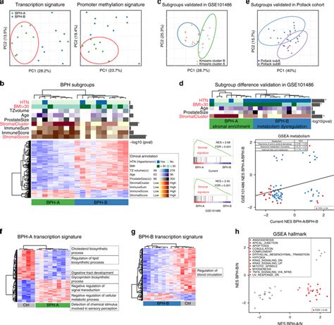 Identification And Validation Of Distinct Bph Subgroups A Principal