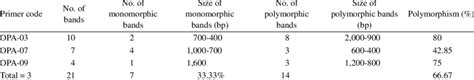 List Of Primers And Their Monomorphic And Polymorphic Bands Download Table