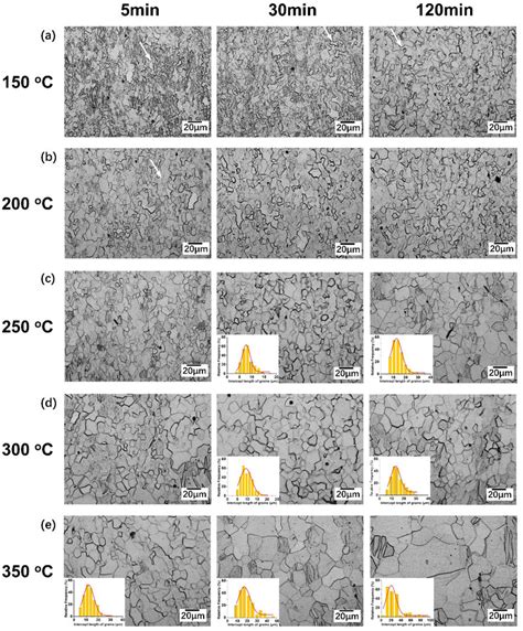 Annealed Microstructures Of Pure Mg With Different Annealing
