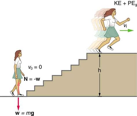 Show An Understanding And Use The Relationship Between Force And Potential Energy In A Uniform