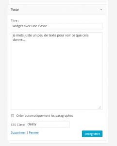 Widget CSS Classes L Écho des Plugins WP