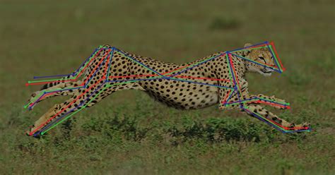 Researchers Use Deep Learning To Design Cheetah Inspired Robots Matlab And Simulink