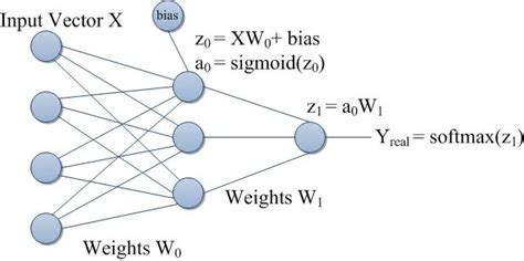 Python Neural Network Small Data Brains