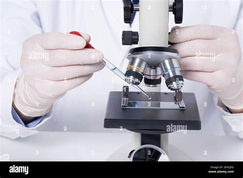Closeup Of A Scientist Examining Toxic Substances For Food Under A