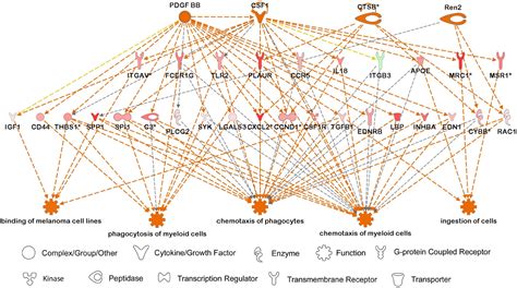 The Transcriptome Of The Endometrium And Placenta Is Associated With