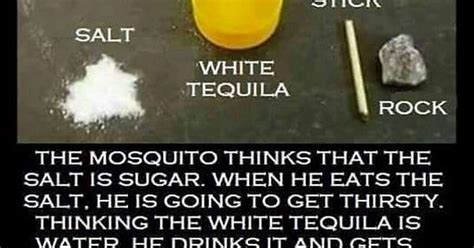 Mosquito Solution Album On Imgur