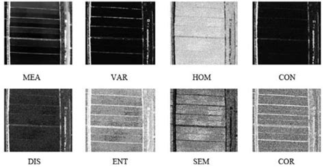 Eight Textural Statistics Of Hyperspectral Image Download Scientific Diagram