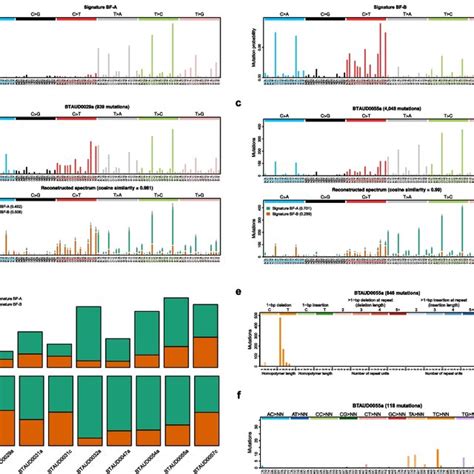 Mutational Signatures In Bovine Uc A Signature Extraction Identified 2