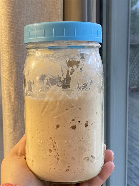 Best How To Make A Sourdough Starter Day By Day Artofit