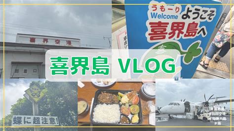 【喜界島vlog】台風で大荒れのなか4年ぶりの喜界島へ ️飛行機多め 一棟借のお家珍看板🪧 Youtube
