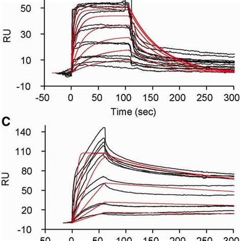 Spr Data And Fits Double Referenced Data Of Replicate Injec Tions Download Scientific Diagram