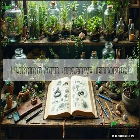 Diy Bioactive Terrarium Build For Ball Python Step By Step Guide