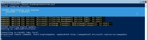 The Fip Fs Scan Process Failed Initialisation Mail Is Queued On
