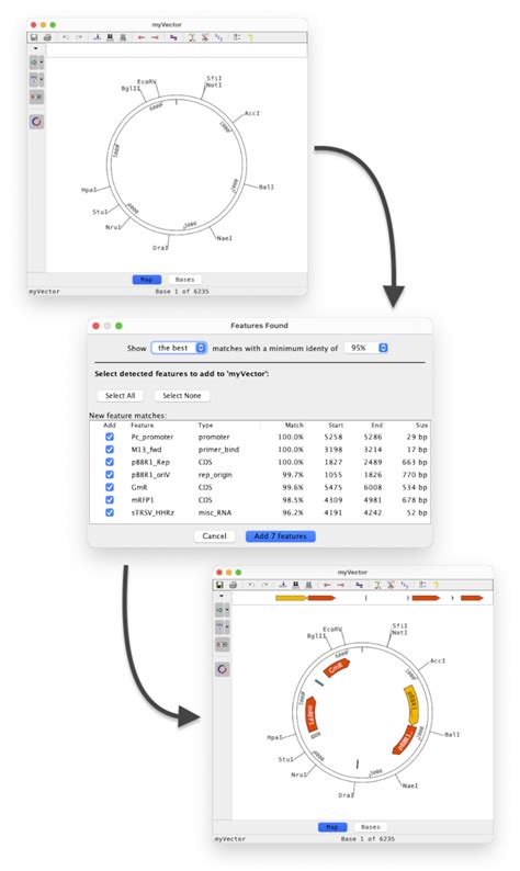 New Features In Codoncode Aligner 11 Dna Sequence Assembly And