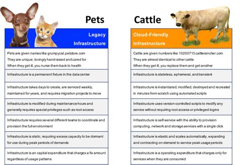 Journey To Kubernetes With Blockchain Network Ckad