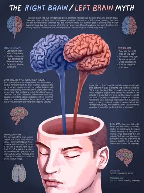 Right Side Brain Function