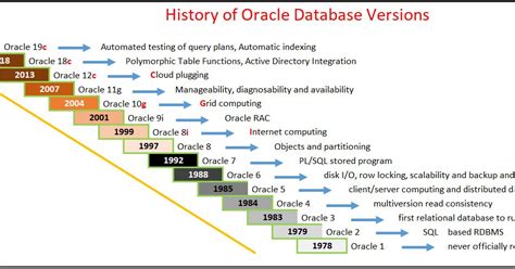 Leadership Software Oracle Database Company Relational Partow Moradi