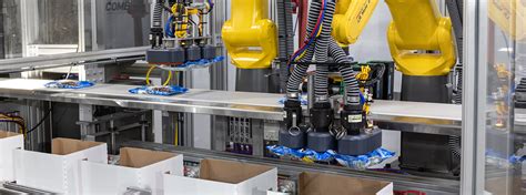 Sustainable Robotic Packaging Equipment And Strategy Combi Packaging Systems