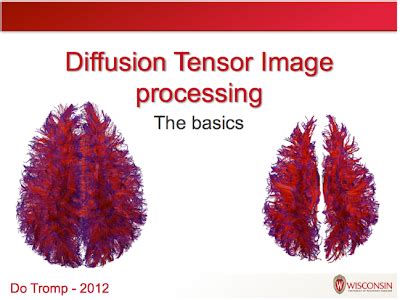DTI Processing The Basics Diffusion Imaging Introduction Tutorials And Background On