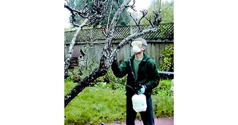 Сега пръскайте дръвчета които още не са цъфнали Български Фермер