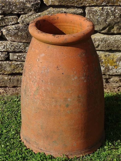 Vintage Terracotta Rhubarb Forcer Holloways Garden Antiques