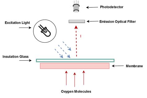 diagram of a typical dissolved oxygen optical sensor download