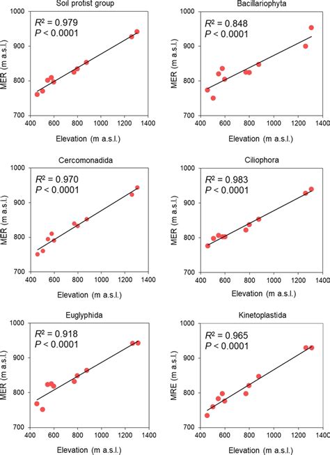 Rapoport Effect Or Positive Correlation Between Elevation And Mean