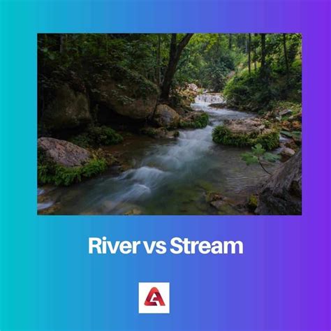 river vs stream difference and comparison