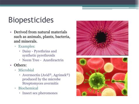 Ppt Pesticides Powerpoint Presentation Free Download Id1623190