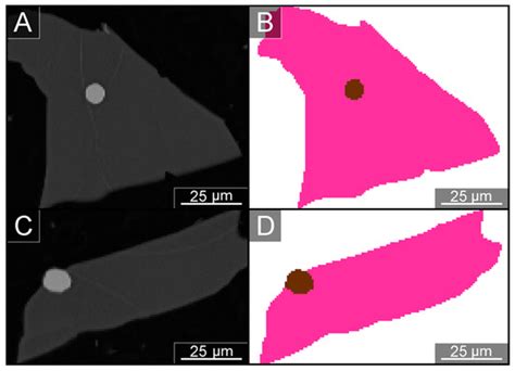 Minerals Special Issue Applications Of Sem Automated Mineralogy From Ore Deposits Over
