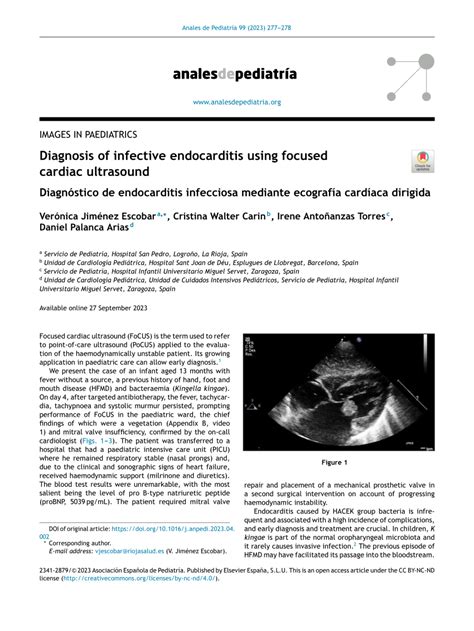 Pdf Diagnosis Of Infective Endocarditis Using Focused Cardiac Ultrasound