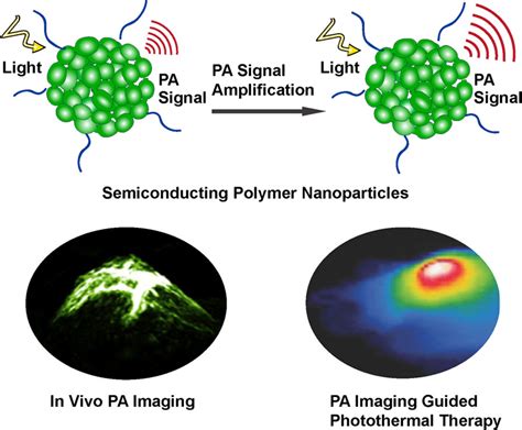 Semiconducting Polymer Nanoparticles For Amplified Photoacoustic Imaging Zhou 2018 Wires