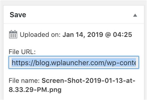 Force File Download In Wordpress Wplauncher