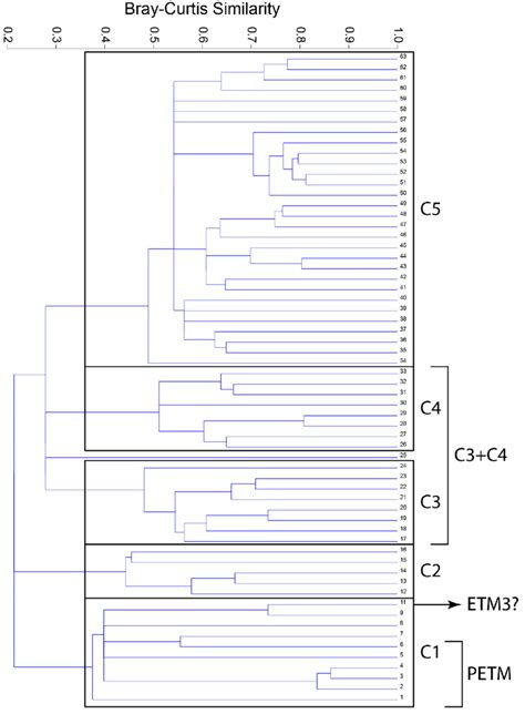 5 Stratigraphically Constrained Cluster Analysis Using A Simplified