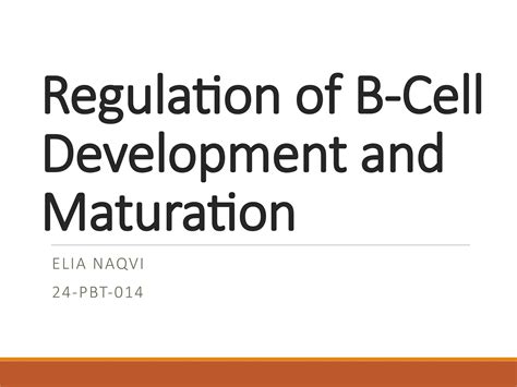 B Cell Maturation And Developments Regulation Immunology Ppt